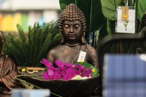 Stores | Modbury Triangle