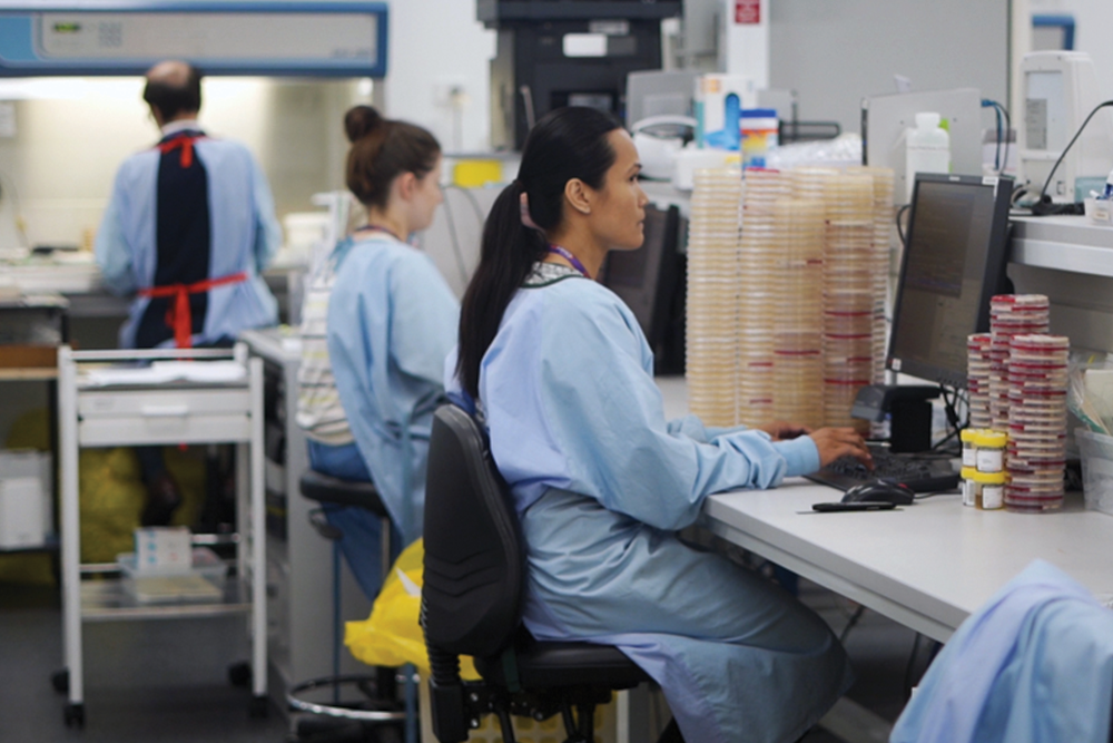 Stores | Modbury Triangle