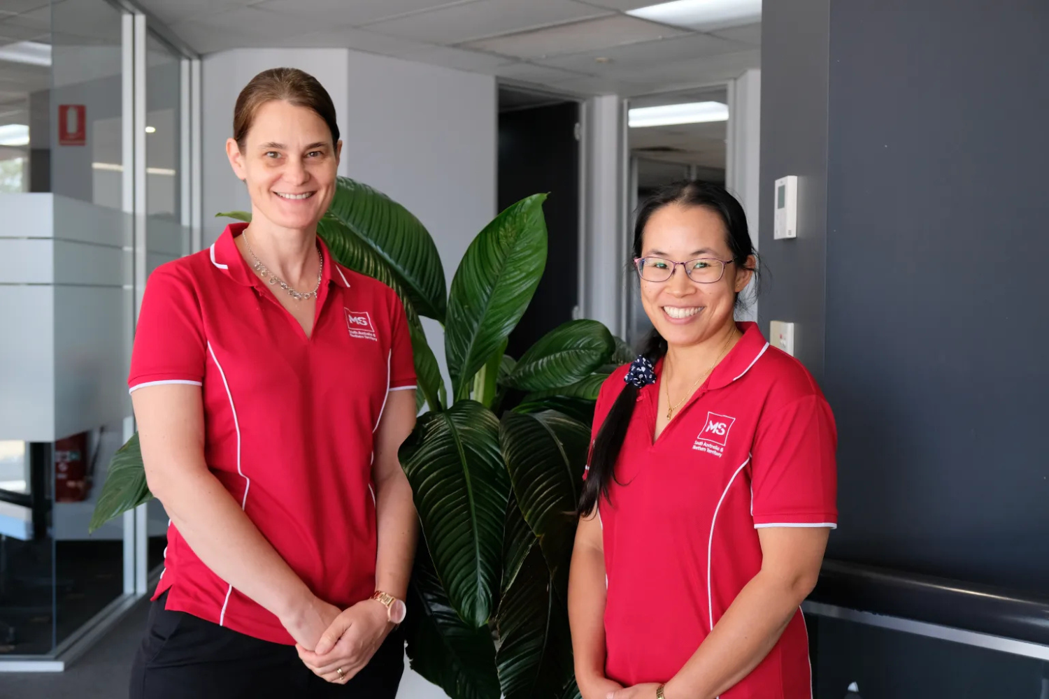 MS Society - Modbury Triangle